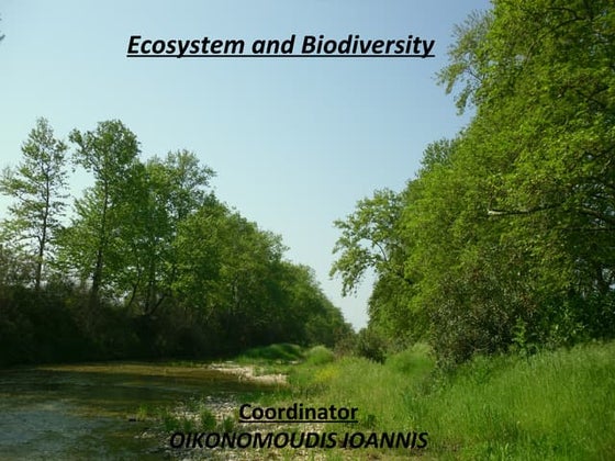 Biodiversity and stability | PPT