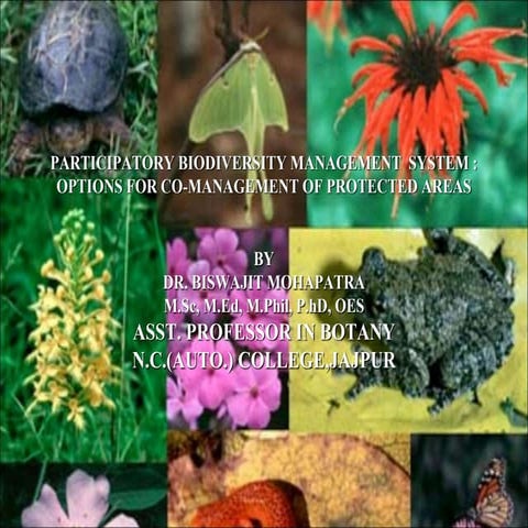Biocultural Community Protocols: A tool for Strengthening the Rights of ...