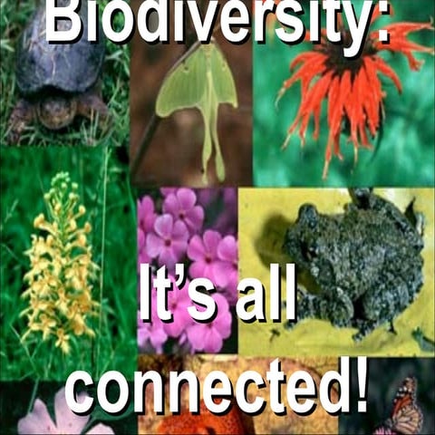 Biodiversity-Intro123456789-Slide-Show-v2.ppt