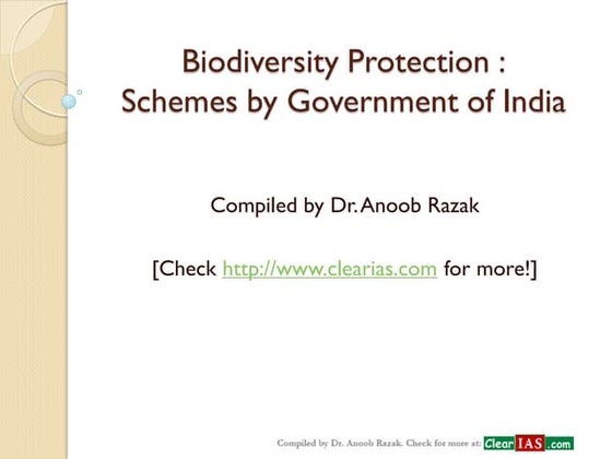 Save the tigers | PPT