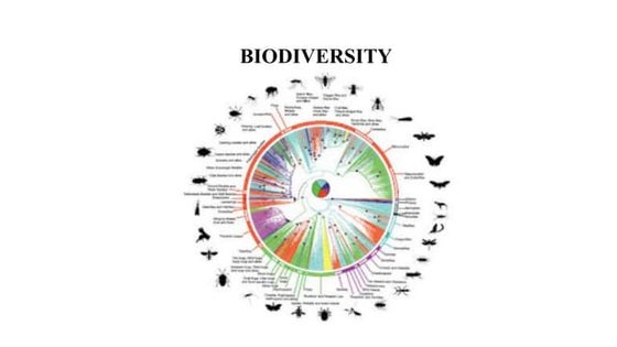 STS 8-Biodiversity.pptx | Environmental Services Industry | Industries