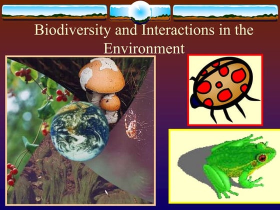 Grade 5 lessons on science | PPTX