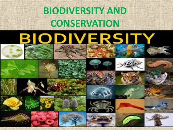 Biodiversity and its conservation | PPT