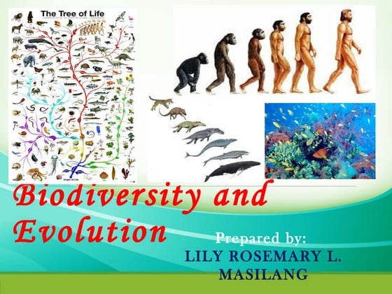 Biodiversity and stability | PPT