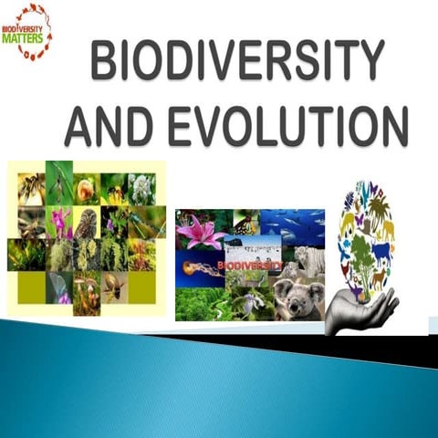 BIODIVERSITY AND EVOLUTION.ppt
