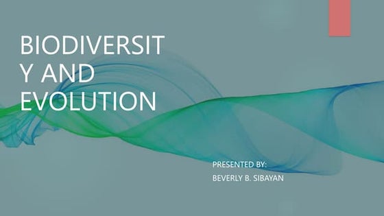 Presentation-WPS Office.pptx