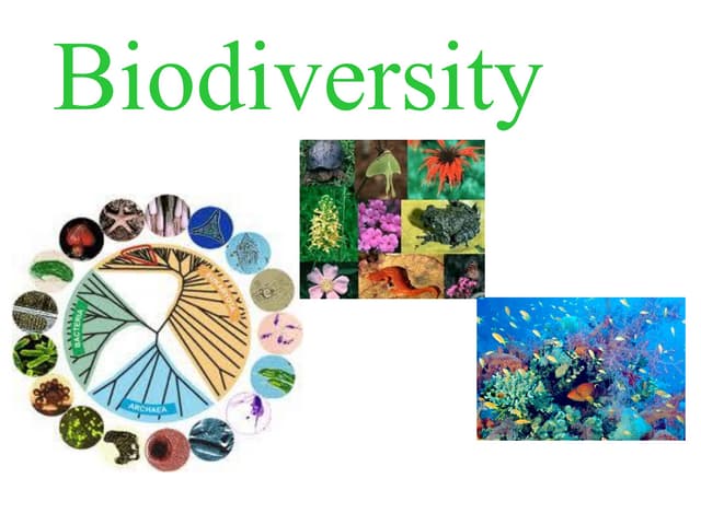 PPT OF BIODIVERSITY | PPT