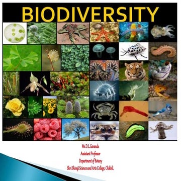 Biodiversity concept | PPT