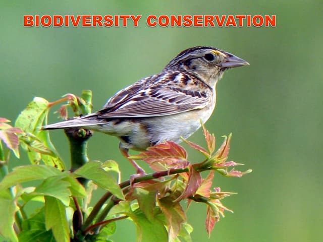 Biodiversity and its conservation | PPTX