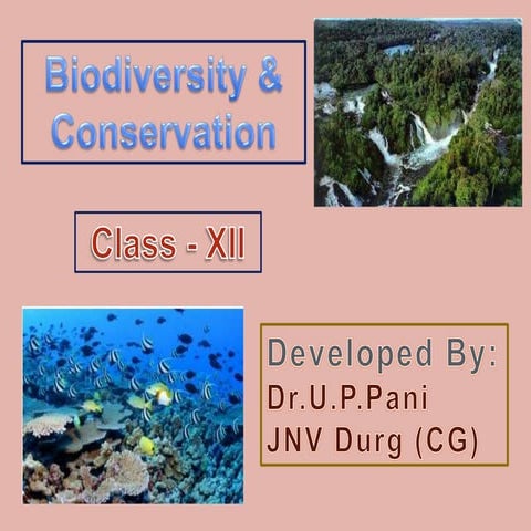 Biodiversity and conservation | PPT