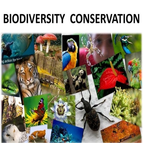Biodiversity conservation | PPT