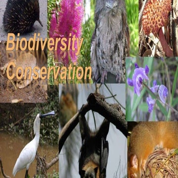 Biodiversity conservation | PPT