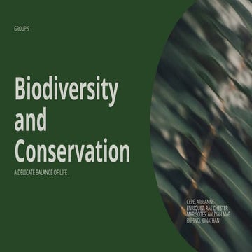 National Integrated Protected Areas System (NIPAS) Act and E (expanded ...