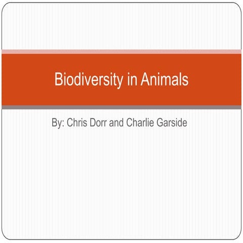 Biodiversity in animals | PPTX