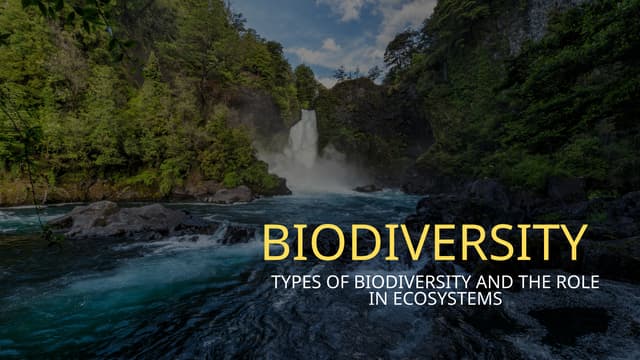 Biodiversity | PPTX
