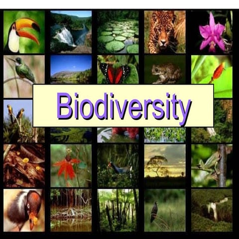 Biodiversity info | PPS | Biological Sciences | Science