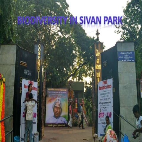Biodiversity in sivan park remade | PPTX