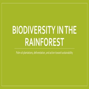 Biodiversity in the rainforest | PPT