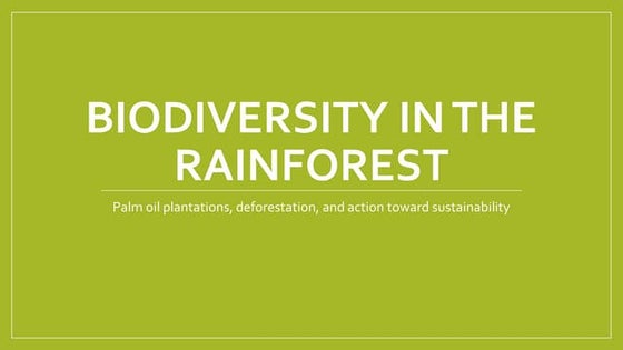 Rainforest Animals presentation | PPT