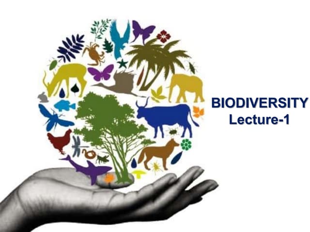 Biodiversity and its conservation | PPTX