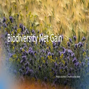 Embracing Biodiversity Net Gain: A Path to Sustainable Development for ...