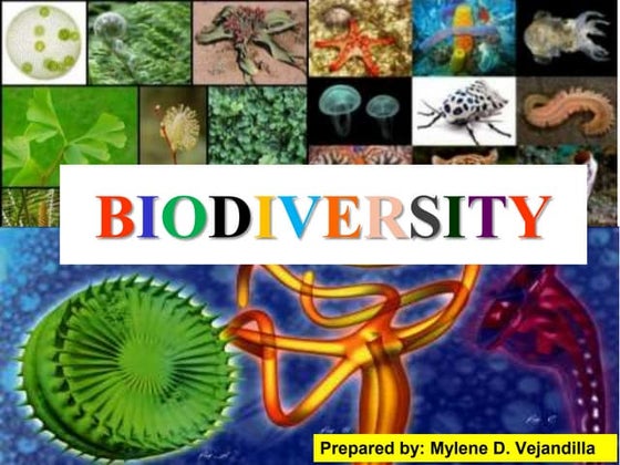 BIODIVERSITY (1).pptx