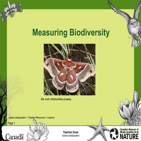 Biodiversity | PPT