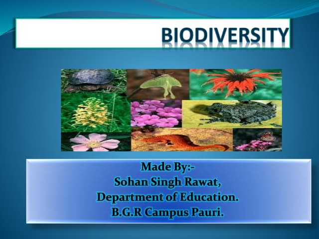 PPT OF BIODIVERSITY | PPT