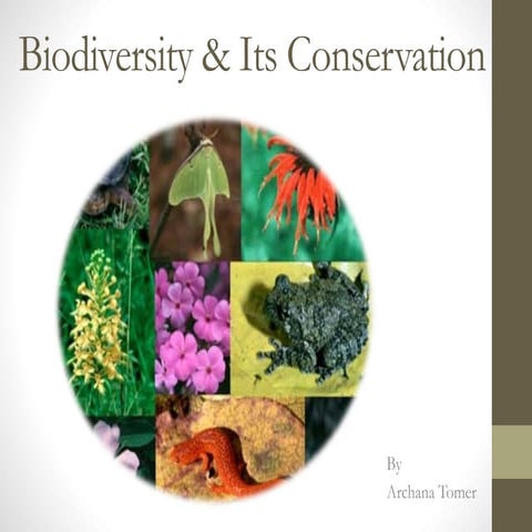 biodiversity based PPT forncollege students ppt.pptx | Geography | Science