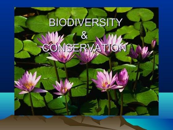 Biodiversity and its conservation | PPT