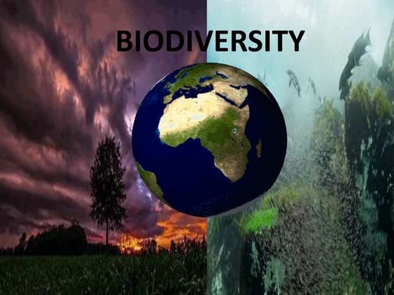 PANITIKAN-HINGGIL-SA-SITWASYON-NG-MGA-PANGKAT-MINORYA.pptx