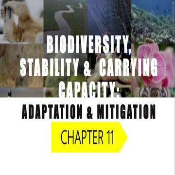 Chapter 11: Biodiversity, Stability & Carrying Capacity | PPT