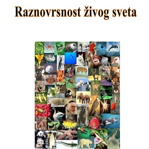 Gradja biljaka | PPTX