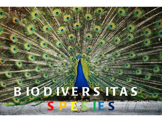 Unit 8 evolution objectives | DOCX