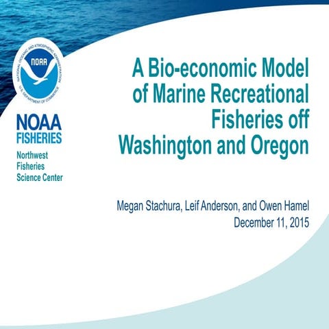 Fish Model Identification | PPTX
