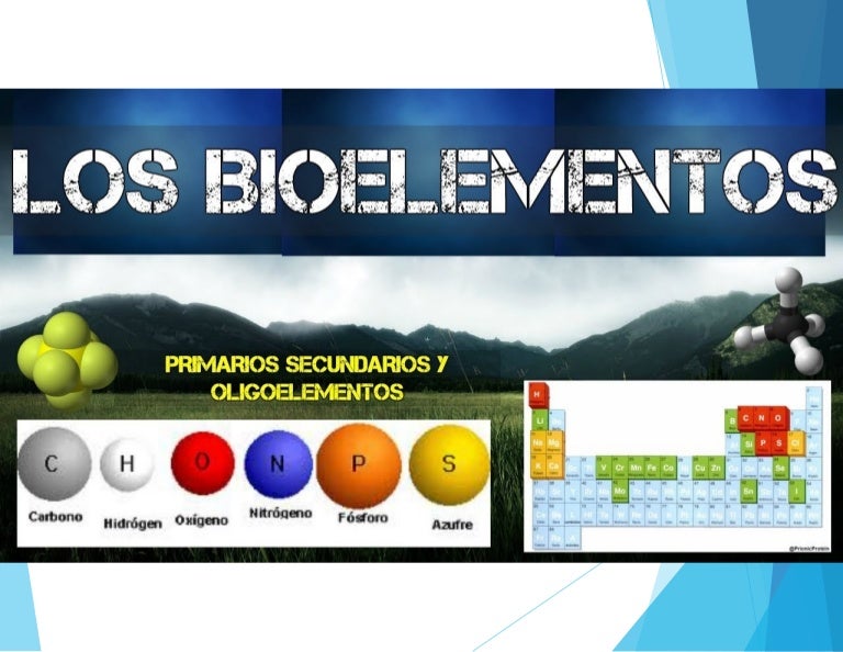 Bioelementos
