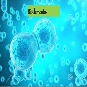Bioelementos.pptx