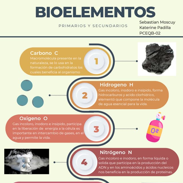 Bioelementos primarios y secundarios.pdf