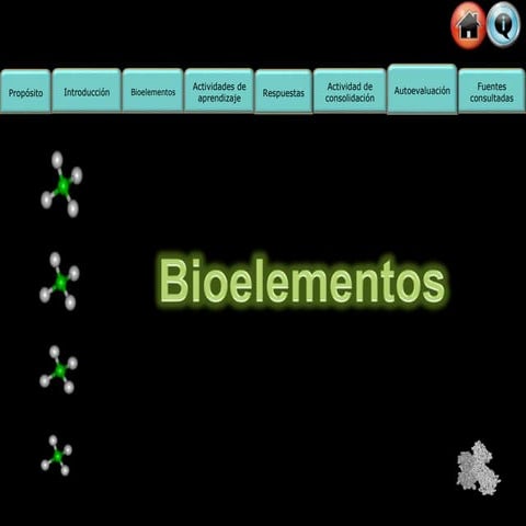 La importancia de conocer los bioelementos.ppt