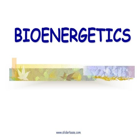 Bioenergetics.ppt