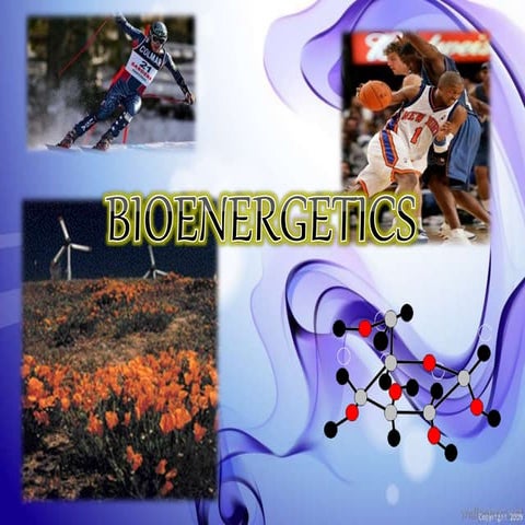 Bioenergetics