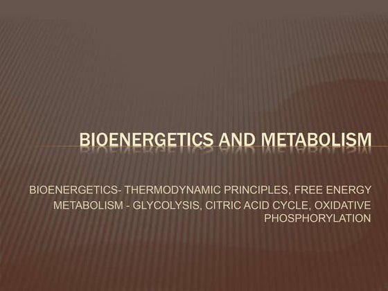 Bioenergetics | PPT