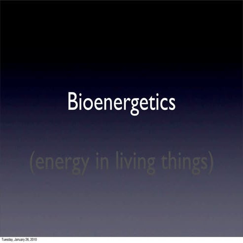 Bioenergetics (Photosynthesis And Respiration Overview) | PDF