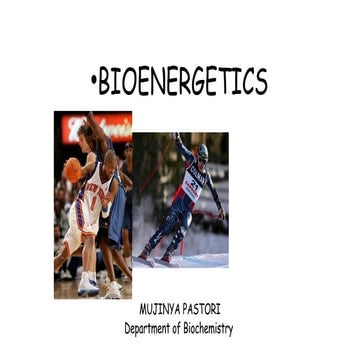 Biochemical energetics And Bioenergetics.ppt