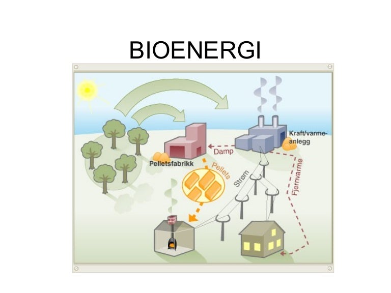 Bioenergi