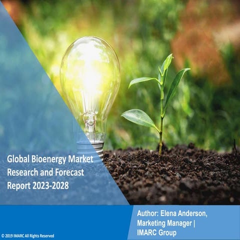 Bioenergy Market PPT: Demand, Trends and Business Opportunities 2023-28 ...
