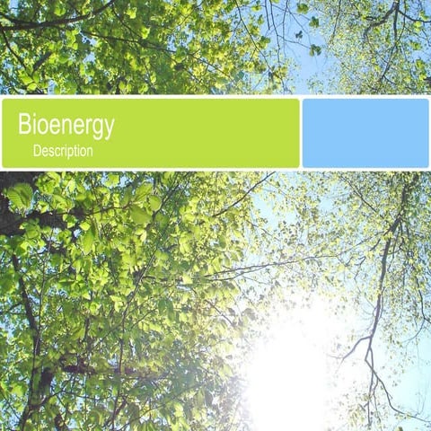 Bio Energy Presentation | PPT