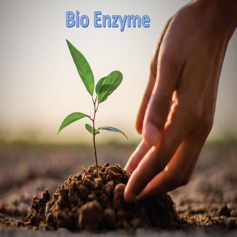Bioenzyme | PDF