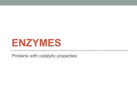 CHAPTER 3- CHARACTERISICS OF ENZYMES.pptx