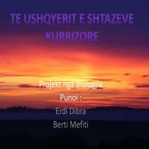 Biologji - Te Ushqyerit E Shtazeve Kurrizore | PPTX